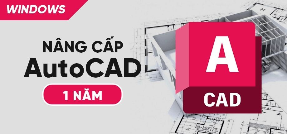 Nâng cấp AutoCAD (1 năm) | Divine Shop