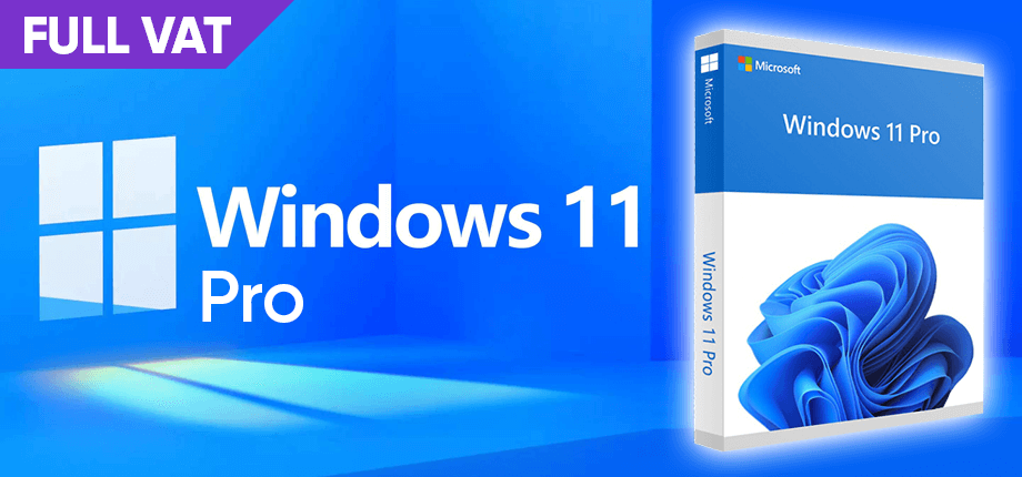 Windows 11 Professional DSP OEI DVD | Divine Shop